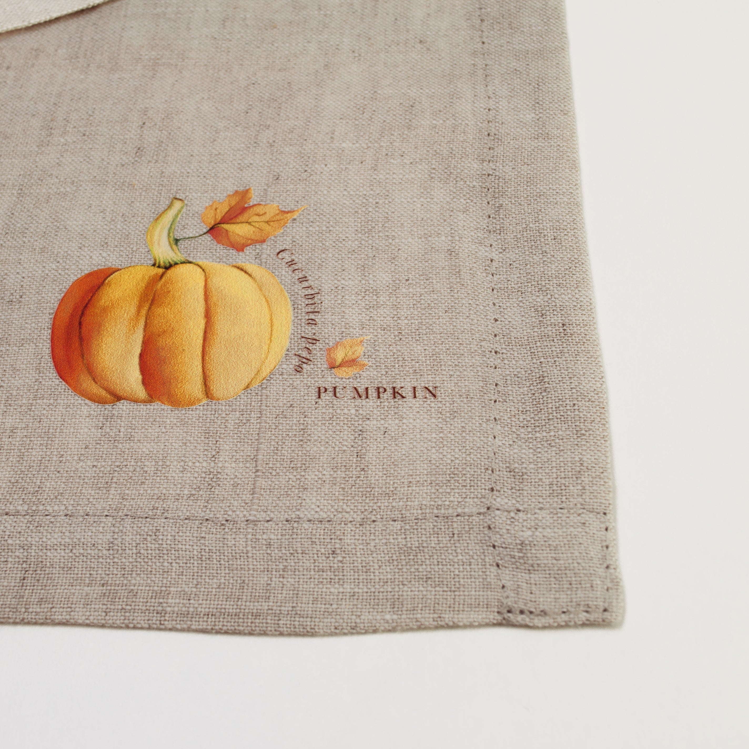 Set of 4 Linen Placemats - Fall Decor - Pumpkin Theme - Various Colors
